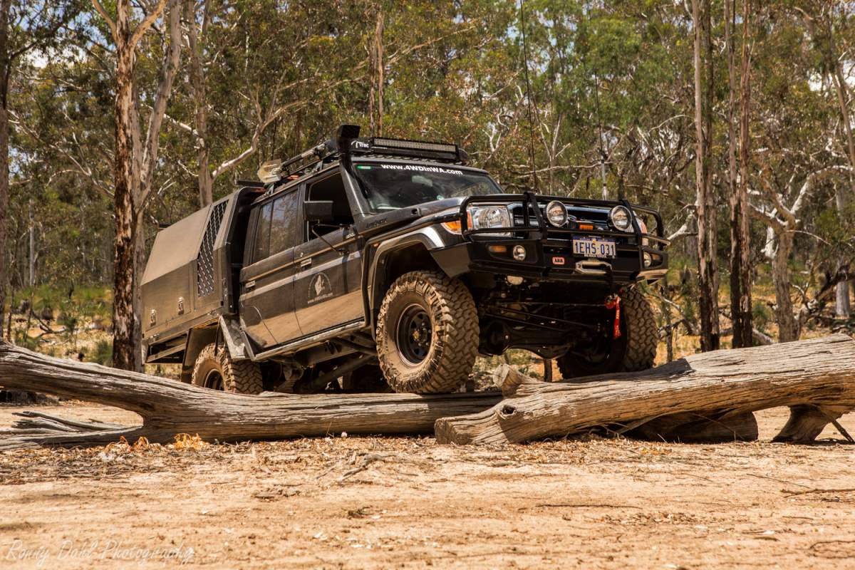 Julimar State Forest Challenge.